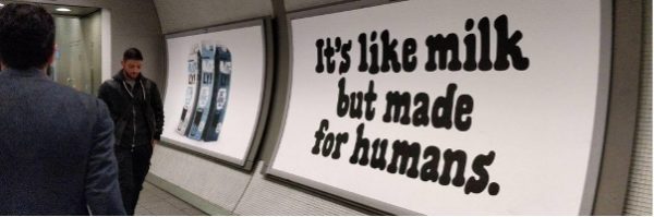 20 Mouthwatering Food Description Examples - Big Star