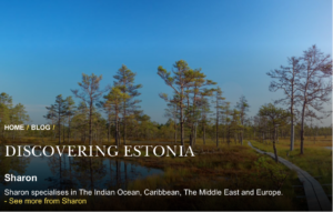 10 Travel Article Examples to Inspire Your Writing - Big Star